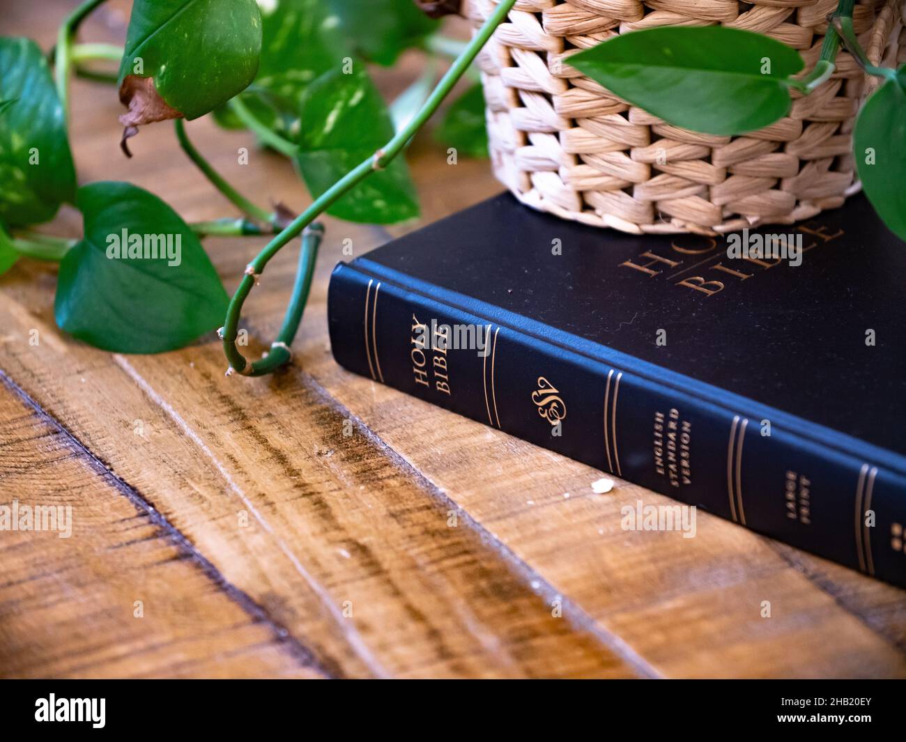 Closeup of the Holy Bible on a table Stock Photo - Alamy