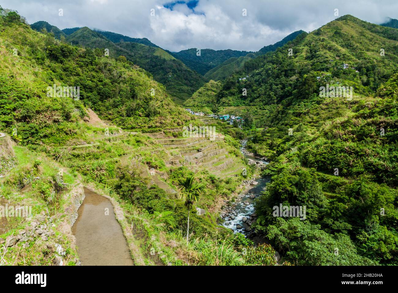 Rice terraces near Cambulo village, Luzon island, Philippines Stock ...
