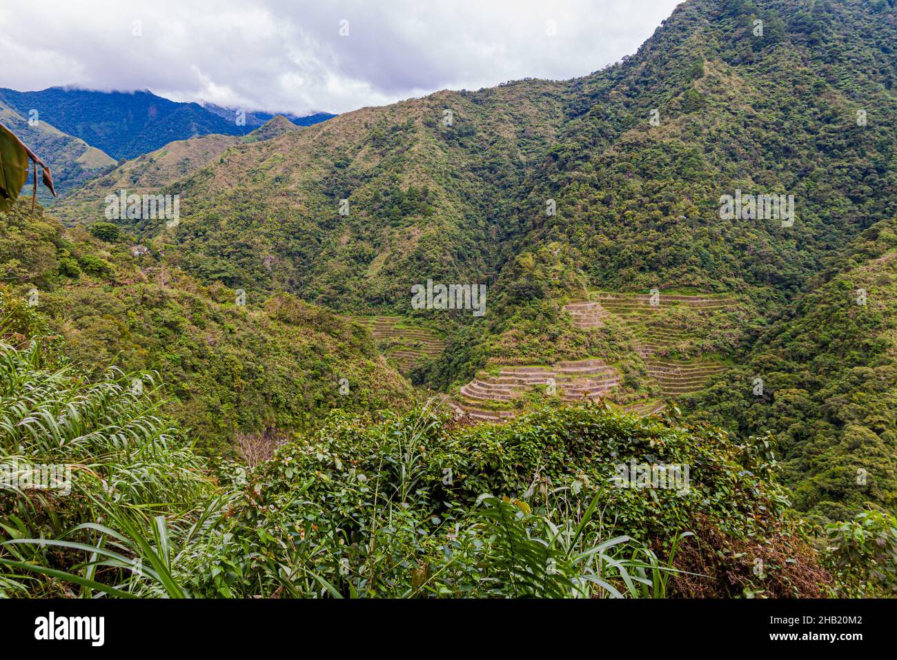 Rice terraces near Cambulo village, Luzon island, Philippines Stock ...
