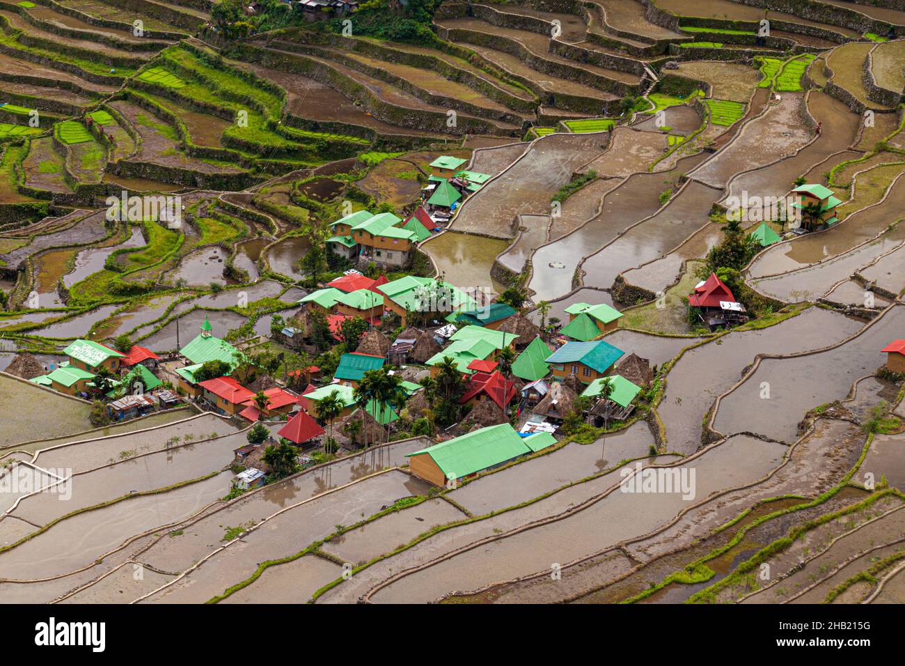 View of Batad Rice Terraces at Luzon island, Philippines Stock Photo ...