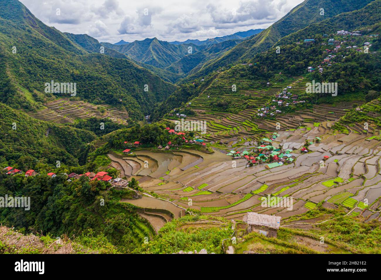 View of Batad Rice Terraces at Luzon island, Philippines Stock Photo ...