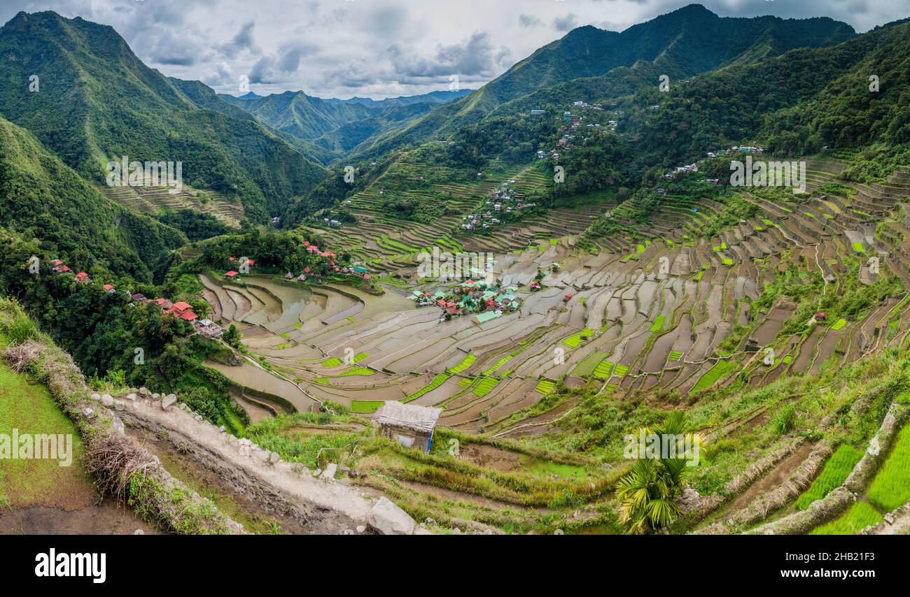 Rice terraces of Batad, Ifugao province, Philippines Stock Photo - Alamy