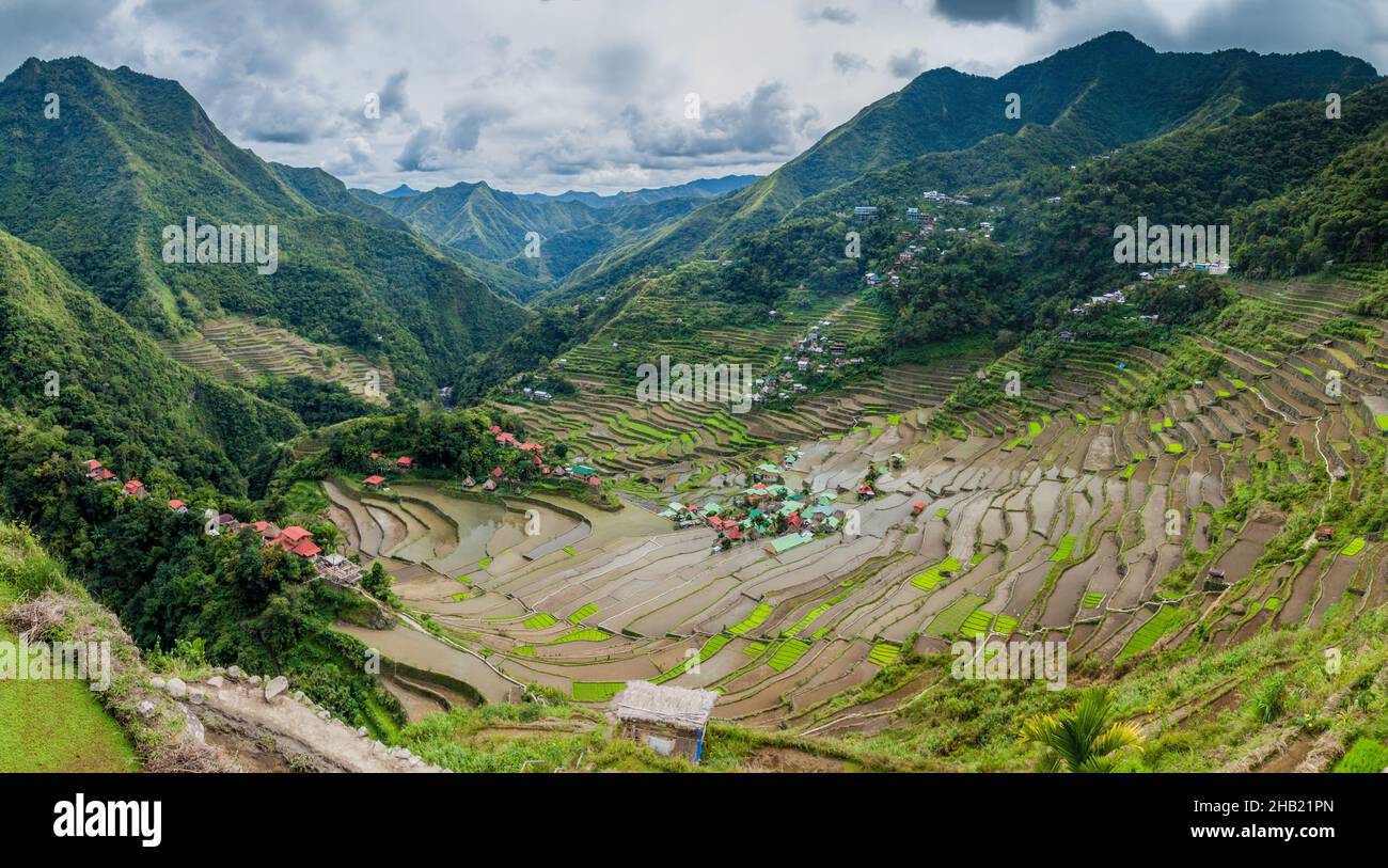 View of Batad Rice Terraces at Luzon island, Philippines Stock Photo ...
