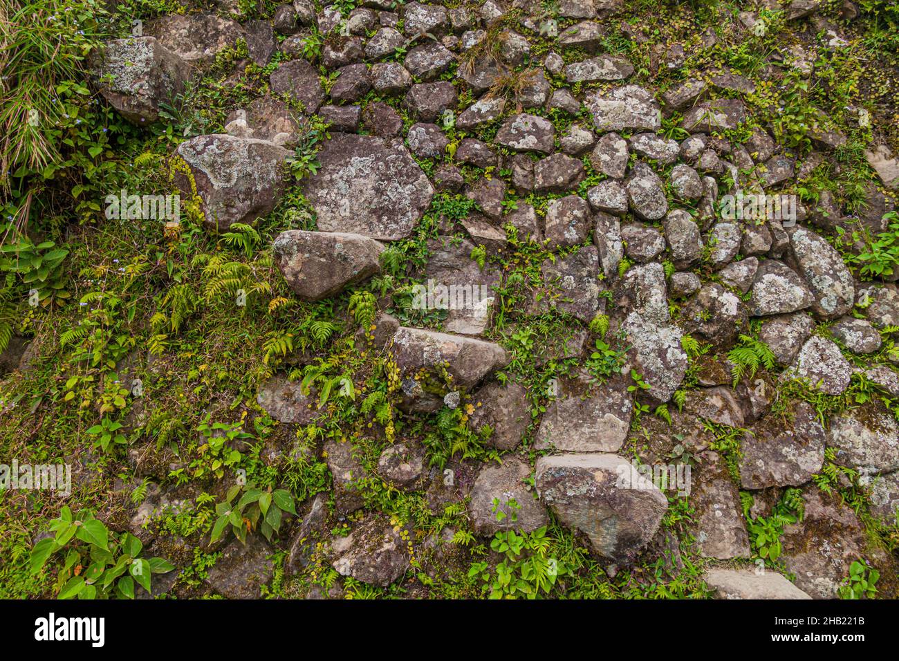 Stone steps at Batad rice terraces, Luzon island, Philippines Stock ...