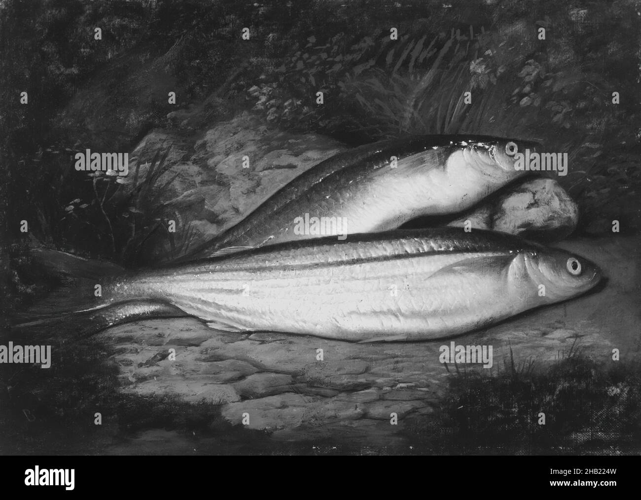 California Smelt, Samuel Marsden Brookes, American, 1816-1892, Oil on ...