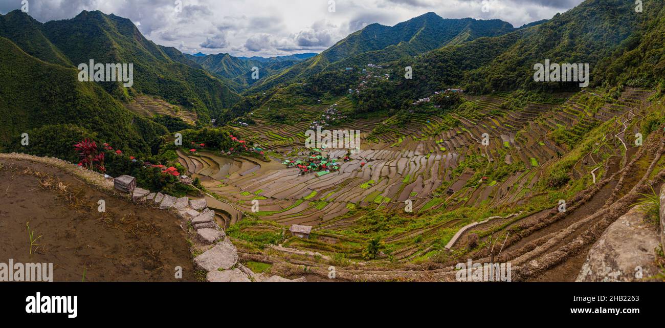 Aerial view of Batad rice terraces, Luzon island, Philippines Stock ...