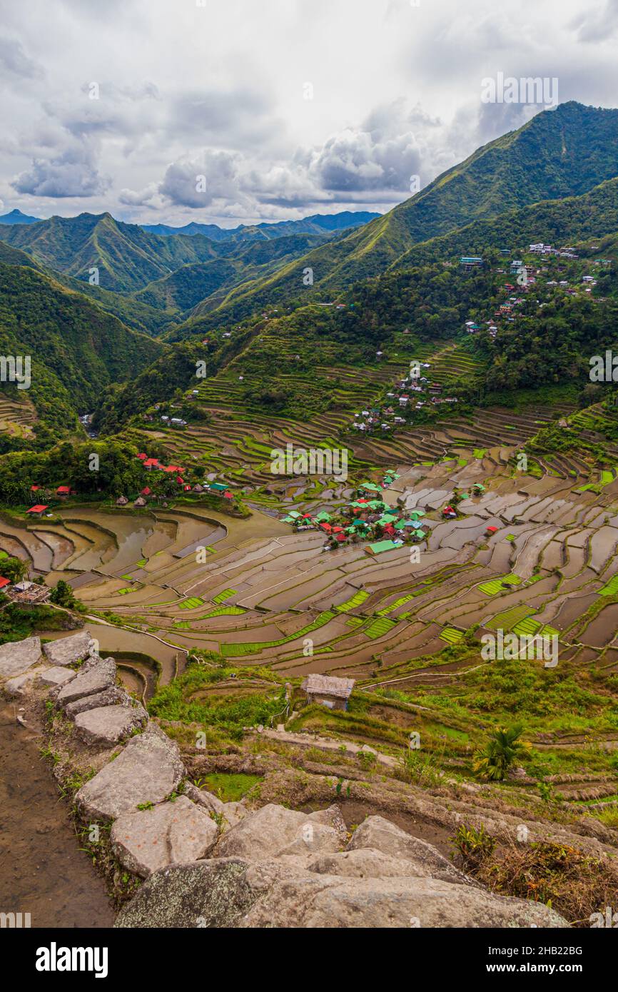 Aerial view of Batad rice terraces, Luzon island, Philippines Stock ...