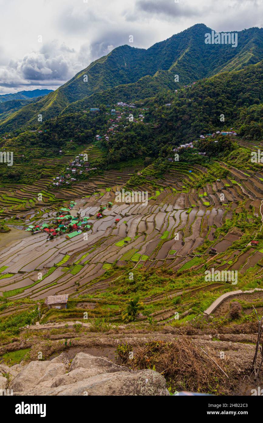 Aerial view of Batad rice terraces, Luzon island, Philippines Stock ...