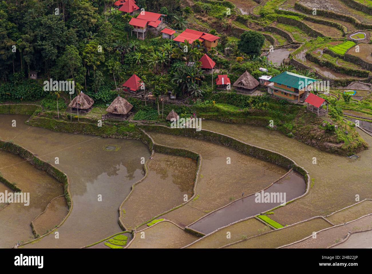 Aerial view of Batad rice terraces, Luzon island, Philippines Stock ...
