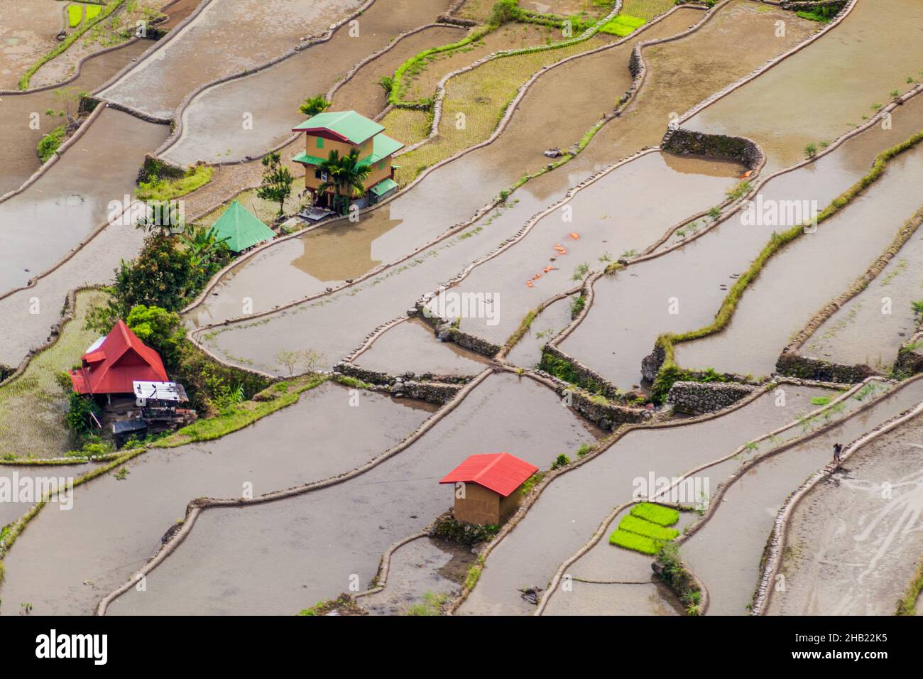 Aerial view of Batad rice terraces, Luzon island, Philippines Stock ...
