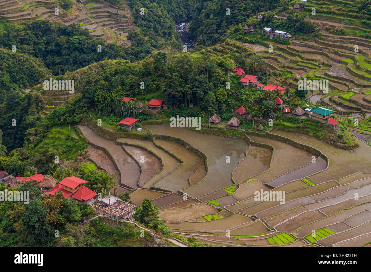 Aerial view of Batad rice terraces, Luzon island, Philippines Stock ...