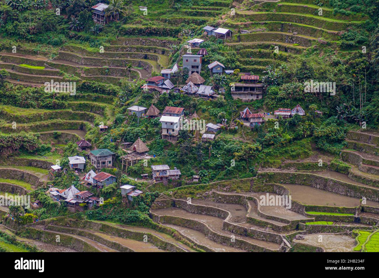 Village at Batad rice terraces, Luzon island, Philippines Stock Photo ...