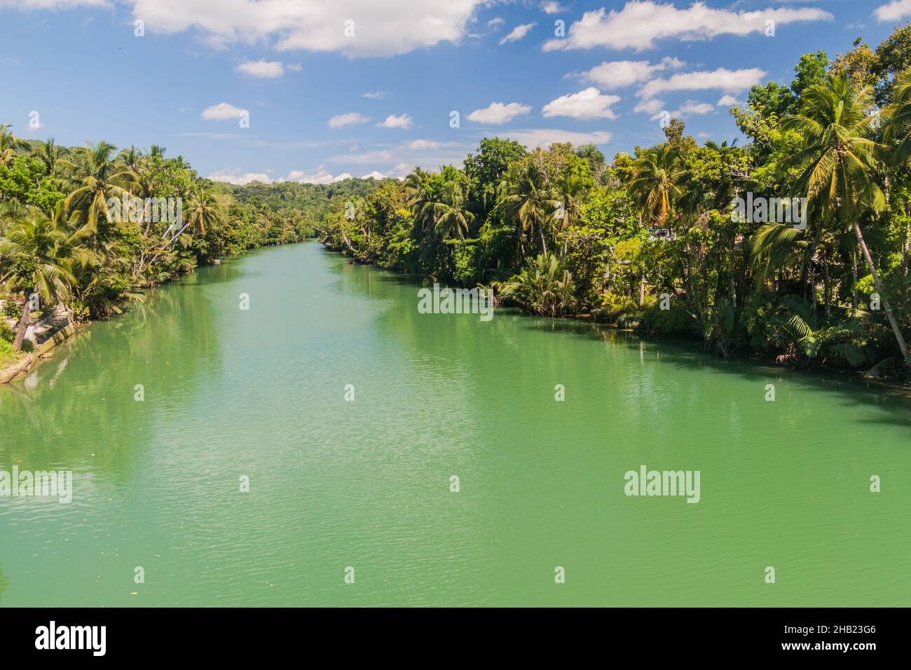 View of Loboc river on Bohol island, Philippines Stock Photo - Alamy