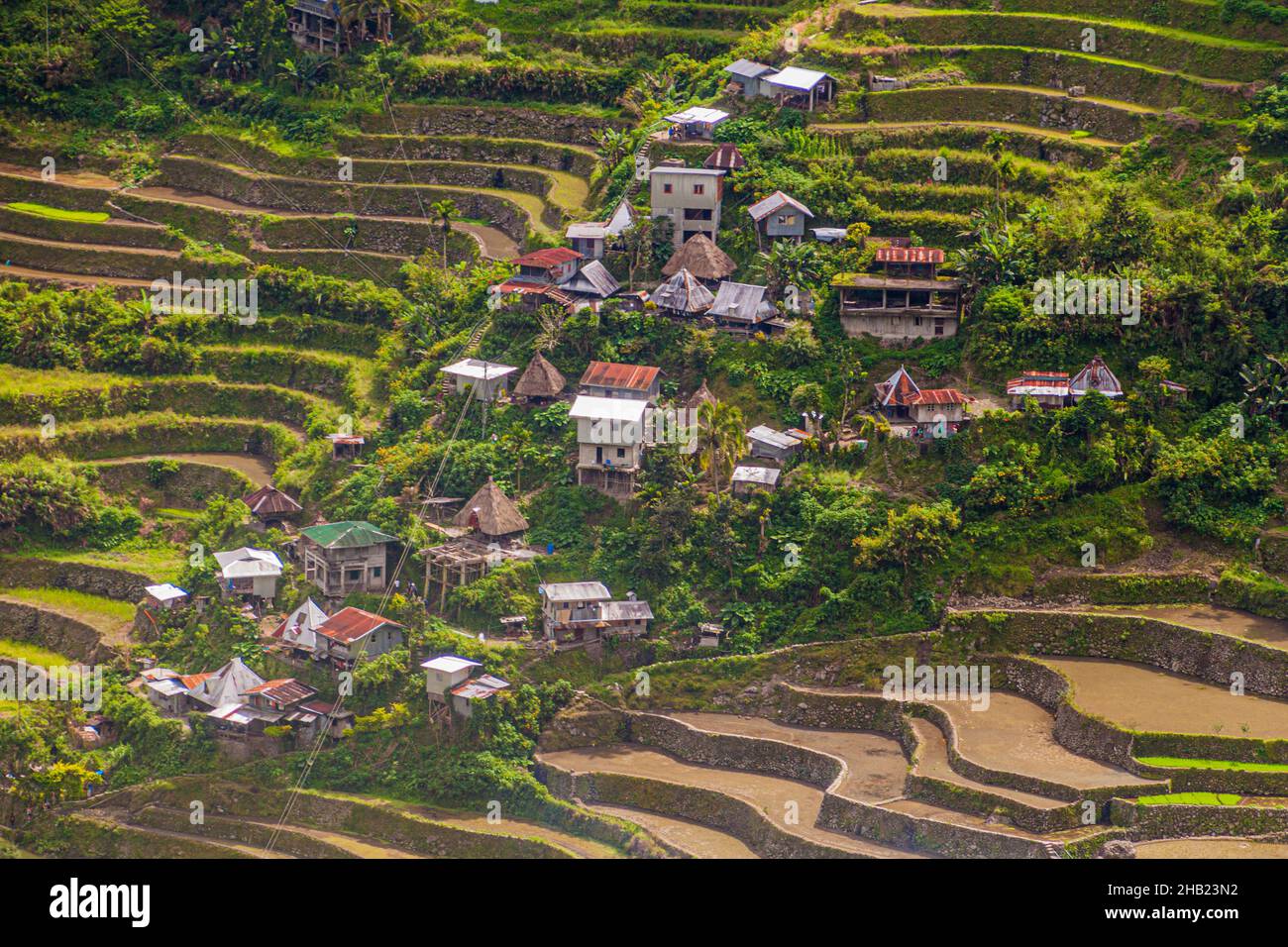 Village at Batad rice terraces, Luzon island, Philippines Stock Photo ...
