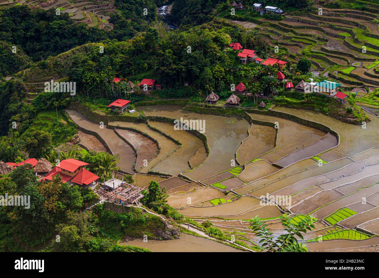 Aerial view of Batad rice terraces, Luzon island, Philippines Stock ...