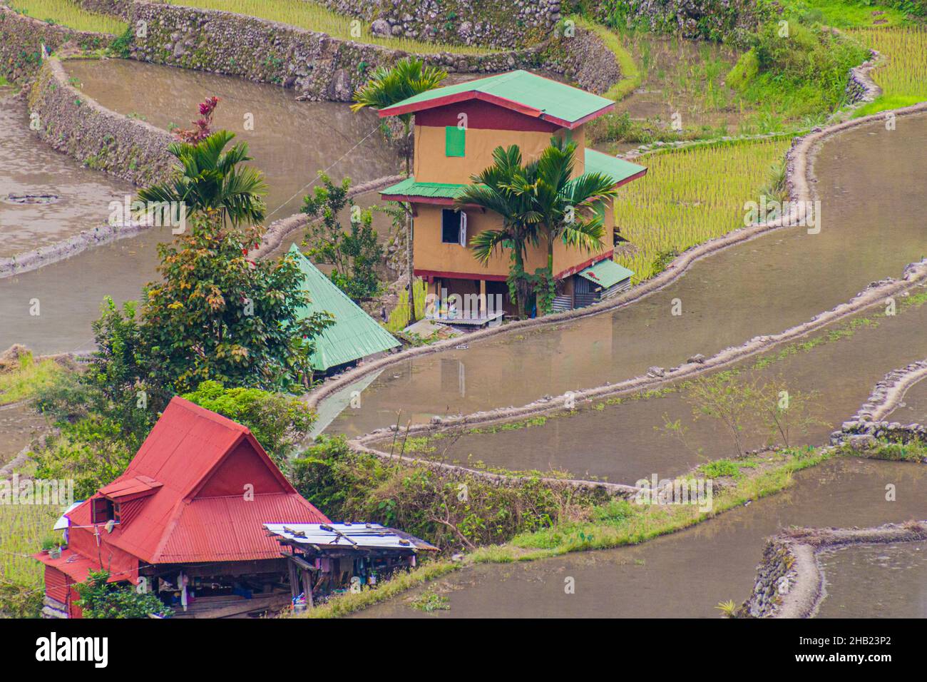 Houses at Batad rice terraces, Luzon island, Philippines Stock Photo ...