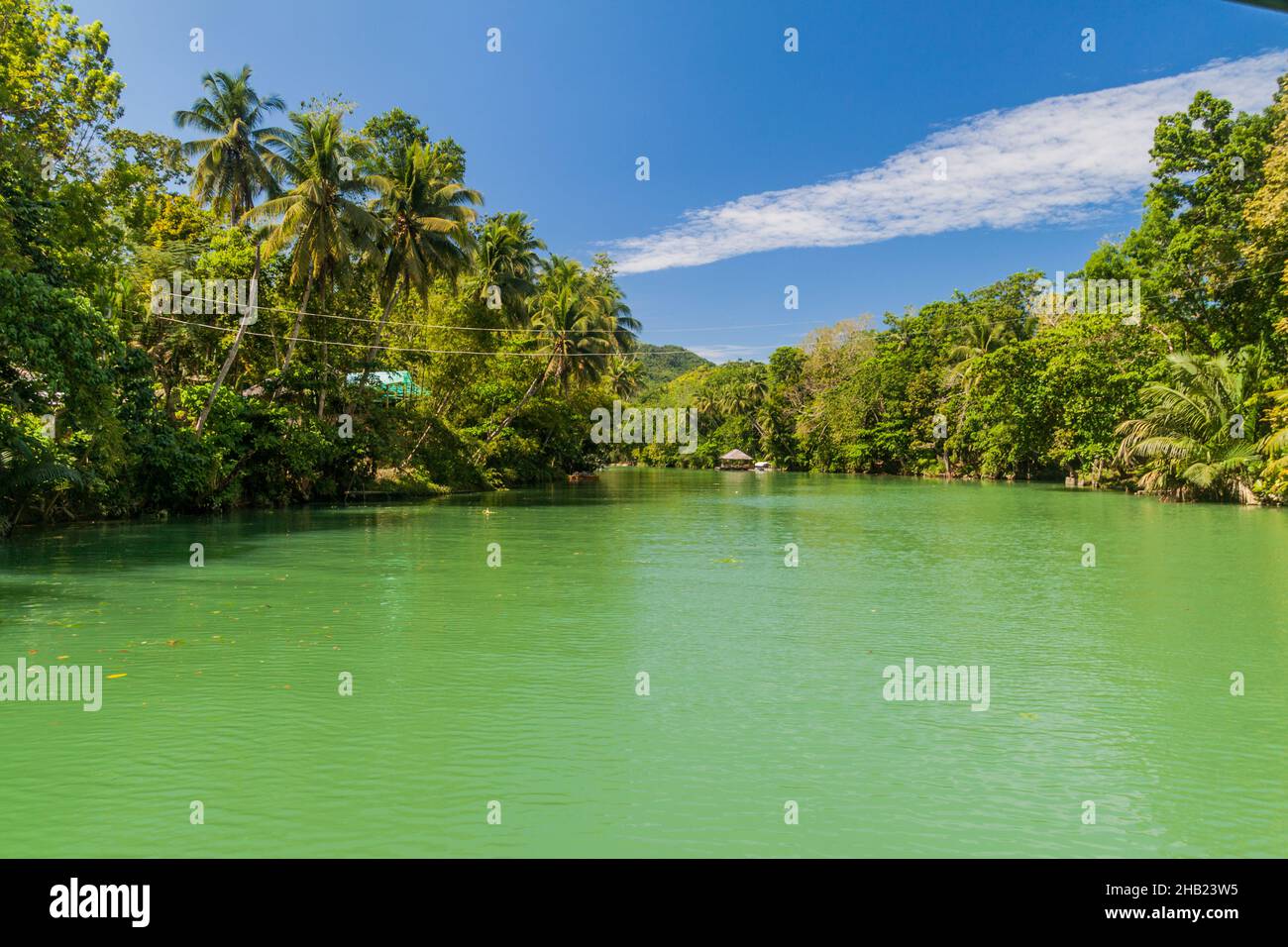 View of Loboc river on Bohol island, Philippines Stock Photo - Alamy