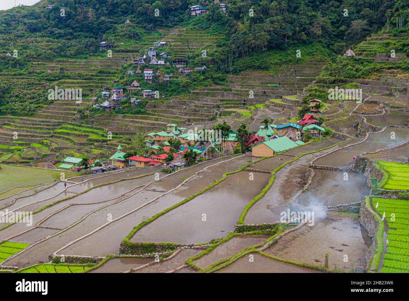 View of Batad rice terraces, Luzon island, Philippines Stock Photo - Alamy