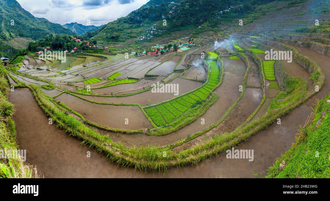 Rice terraces of Batad, Ifugao province, Philippines Stock Photo - Alamy