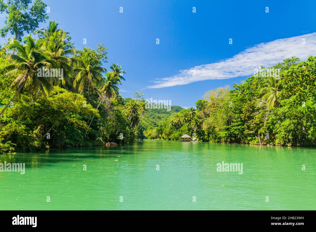 View of Loboc river on Bohol island, Philippines Stock Photo - Alamy