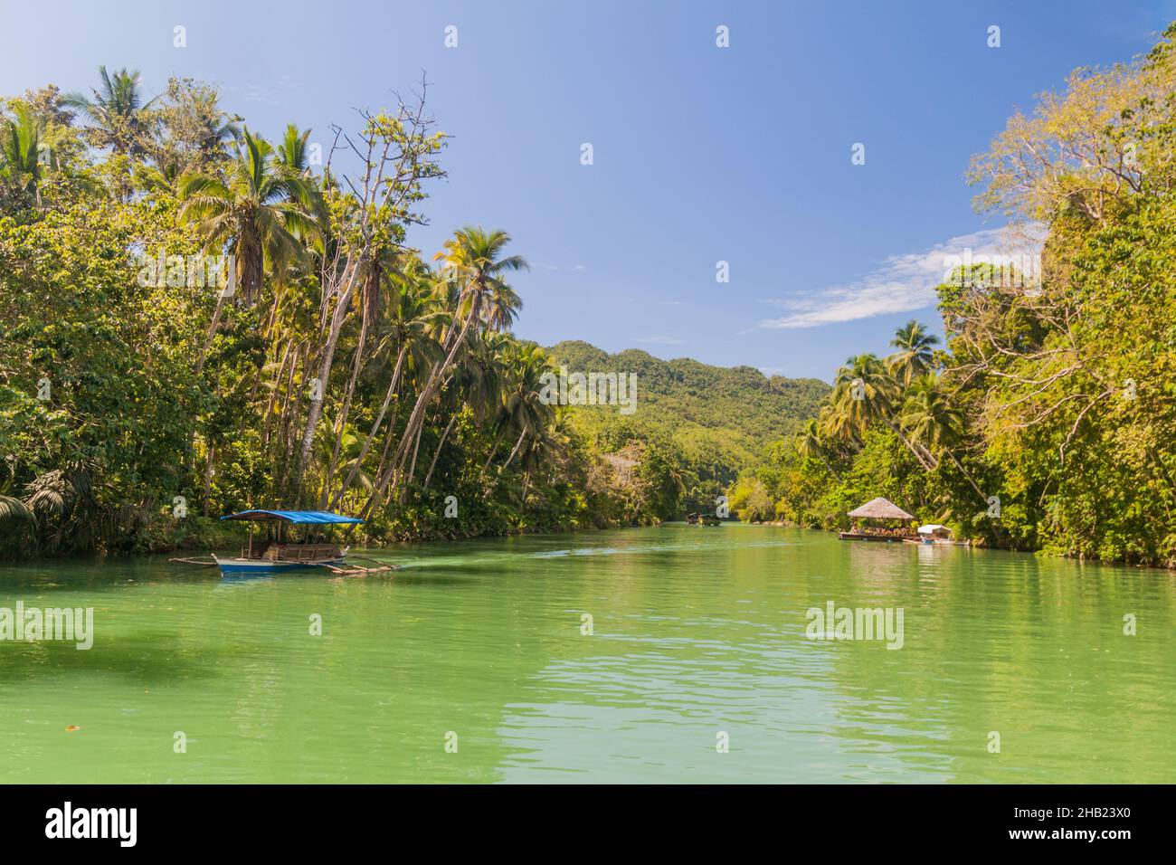 View of Loboc river on Bohol island, Philippines Stock Photo - Alamy