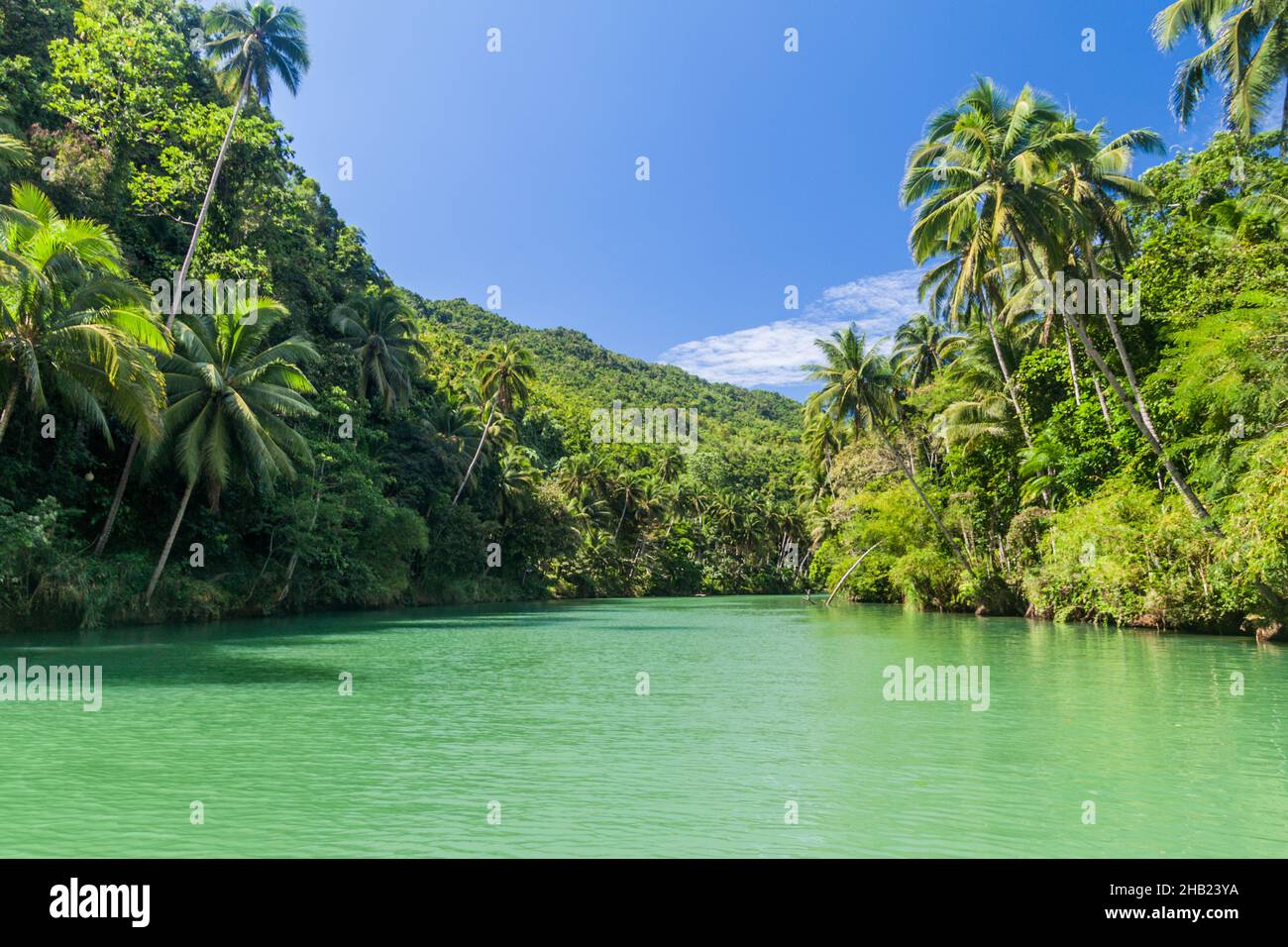 View of Loboc river on Bohol island, Philippines Stock Photo - Alamy
