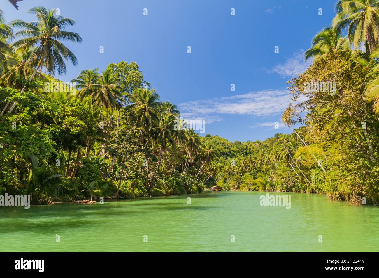 View of Loboc river on Bohol island, Philippines Stock Photo - Alamy