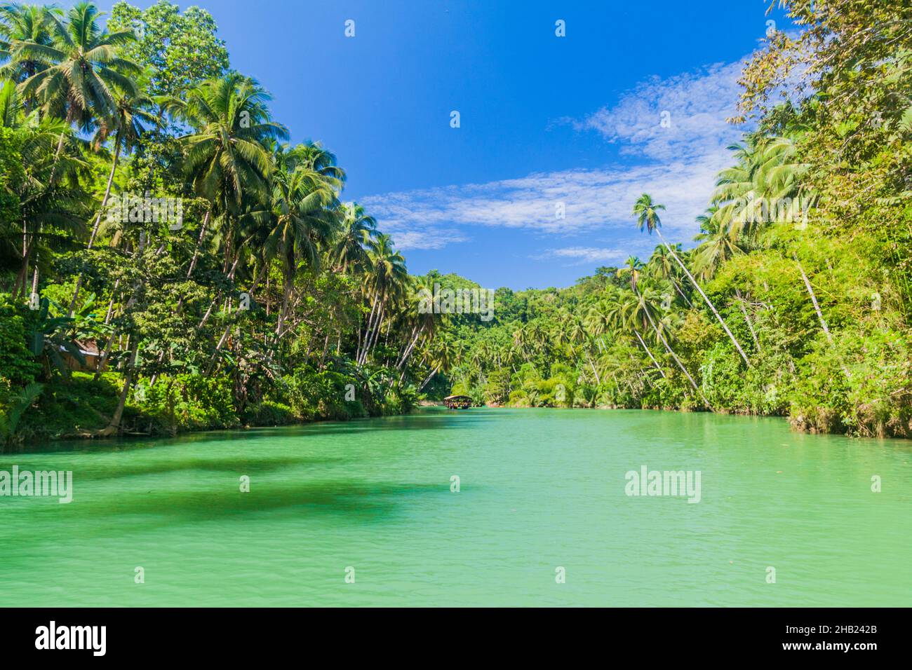 View of Loboc river on Bohol island, Philippines Stock Photo - Alamy