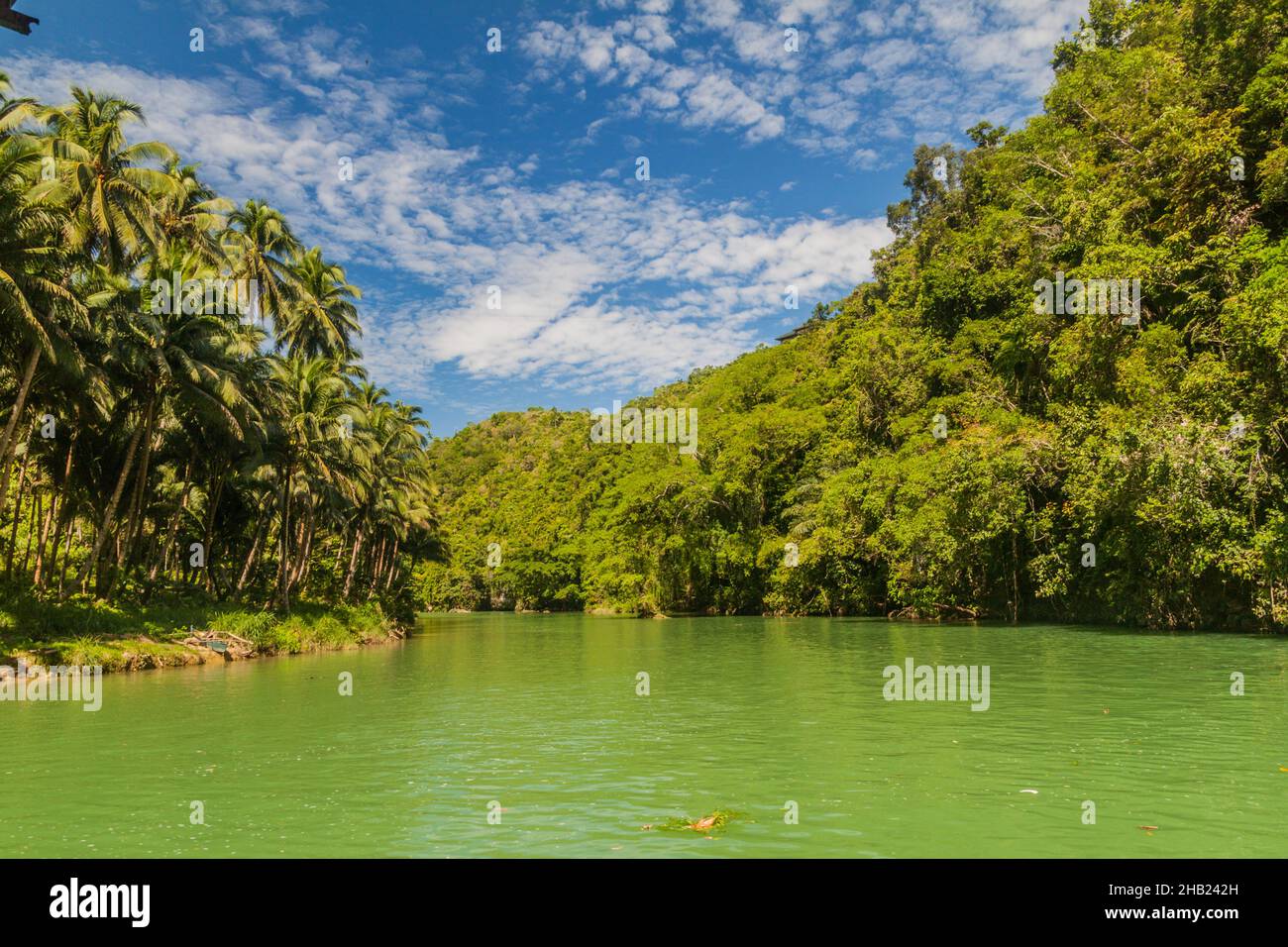 View of Loboc river on Bohol island, Philippines Stock Photo - Alamy