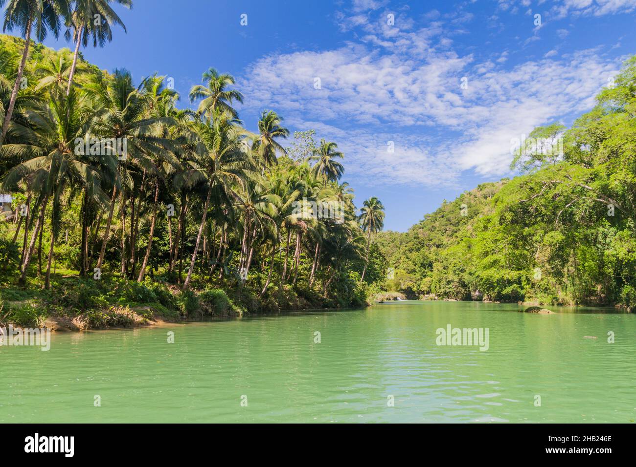 View of Loboc river on Bohol island, Philippines Stock Photo - Alamy