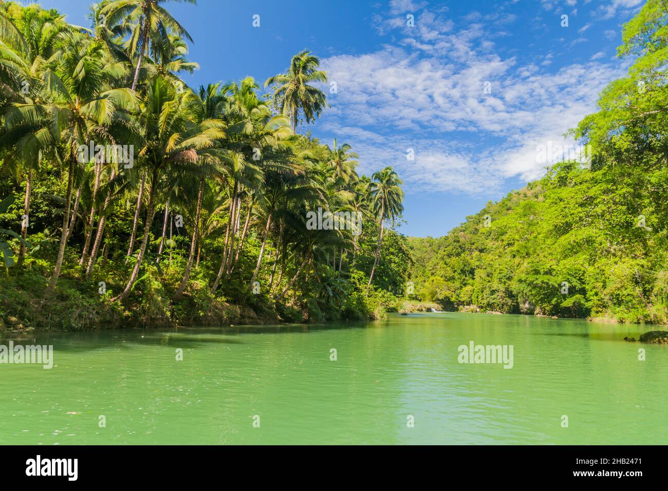 View of Loboc river on Bohol island, Philippines Stock Photo - Alamy