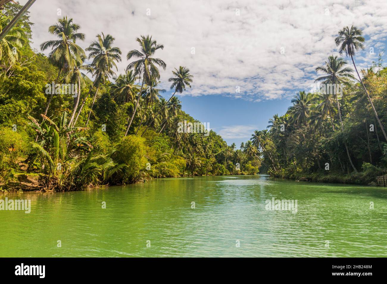 View of Loboc river on Bohol island, Philippines Stock Photo - Alamy