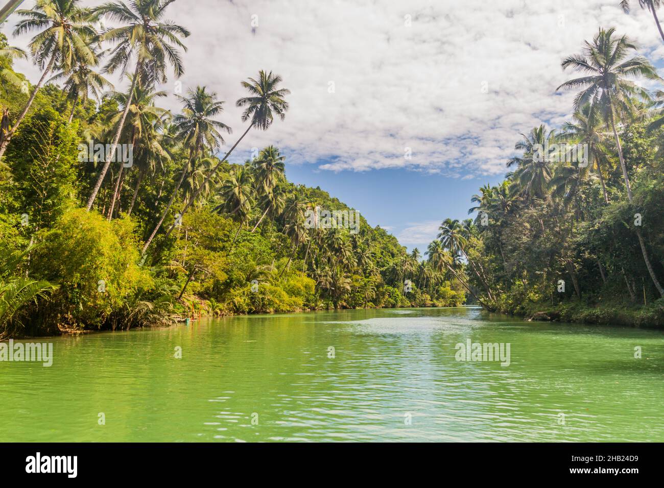 View of Loboc river on Bohol island, Philippines Stock Photo - Alamy