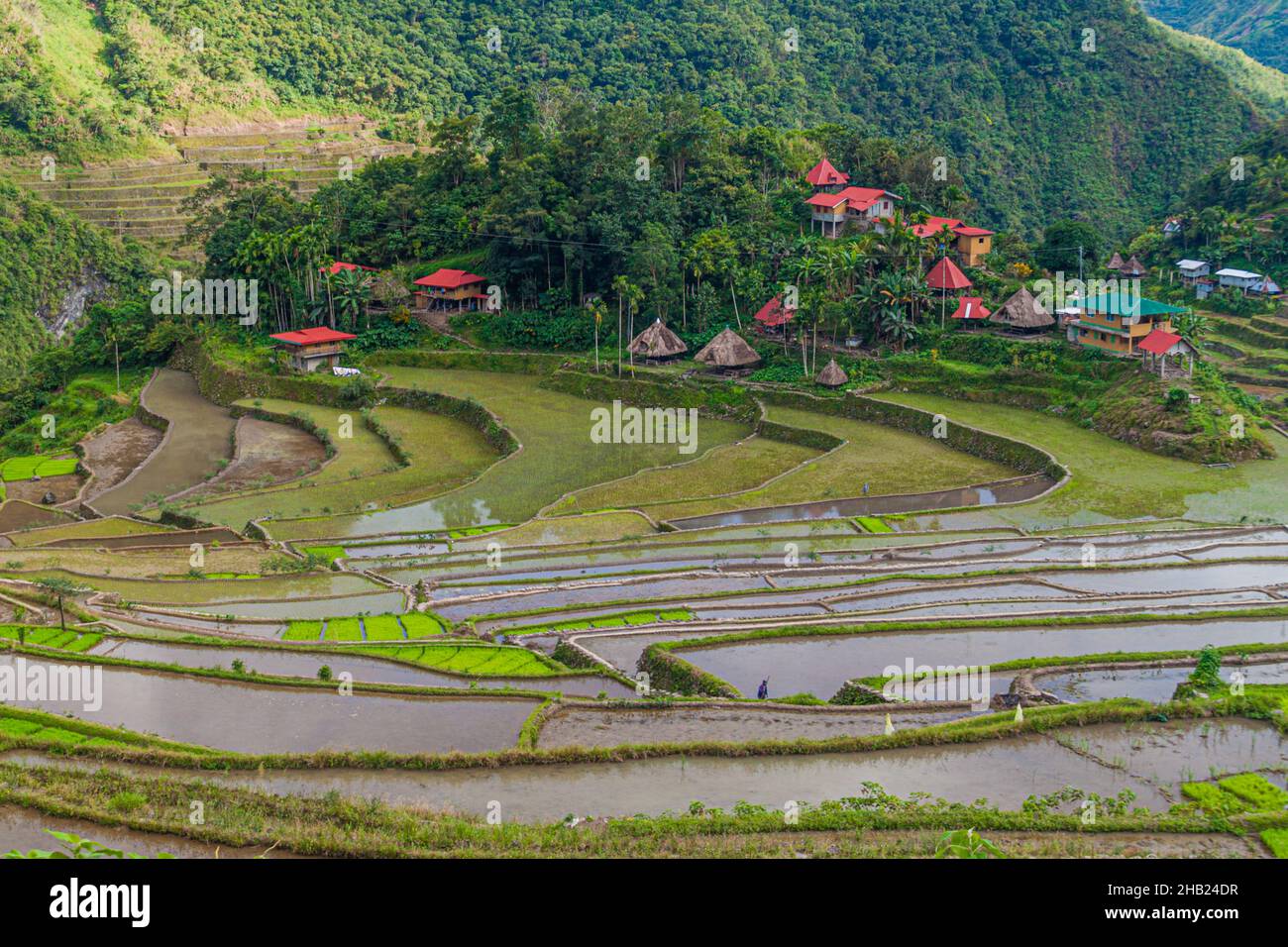 View of Batad rice terraces, Luzon island, Philippines Stock Photo - Alamy