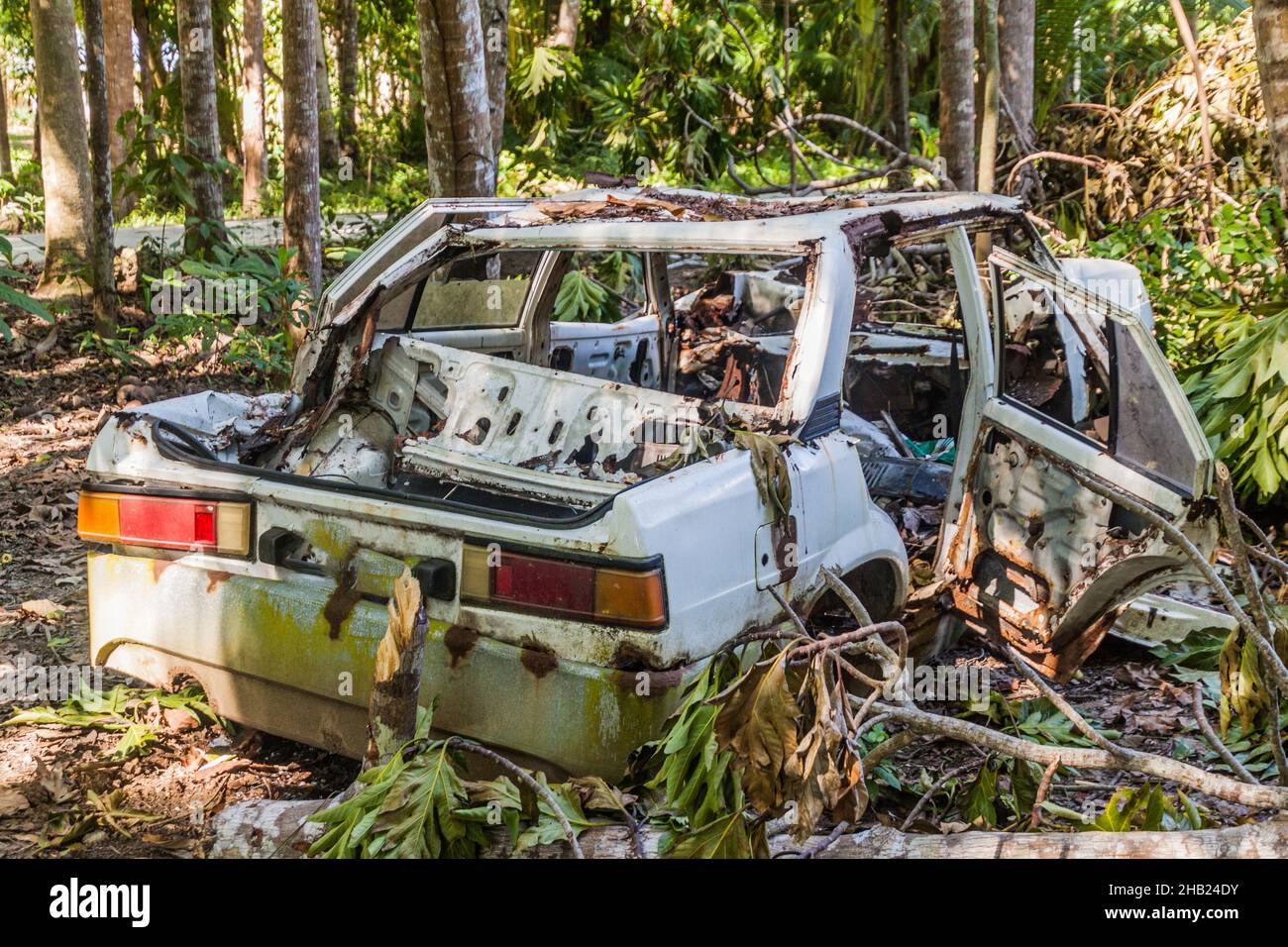 Old rusty car in a forest near Loboc village on Bohol island ...