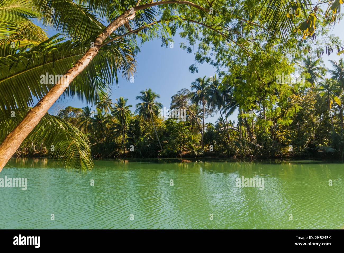 View of Loboc river on Bohol island, Philippines Stock Photo - Alamy