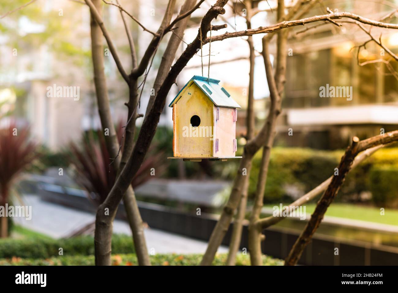 Wooden bird house in the city. Illustration for Real Estate or ...
