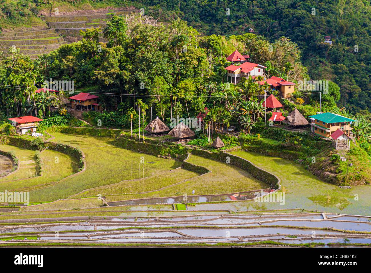 View of Batad rice terraces, Luzon island, Philippines Stock Photo - Alamy