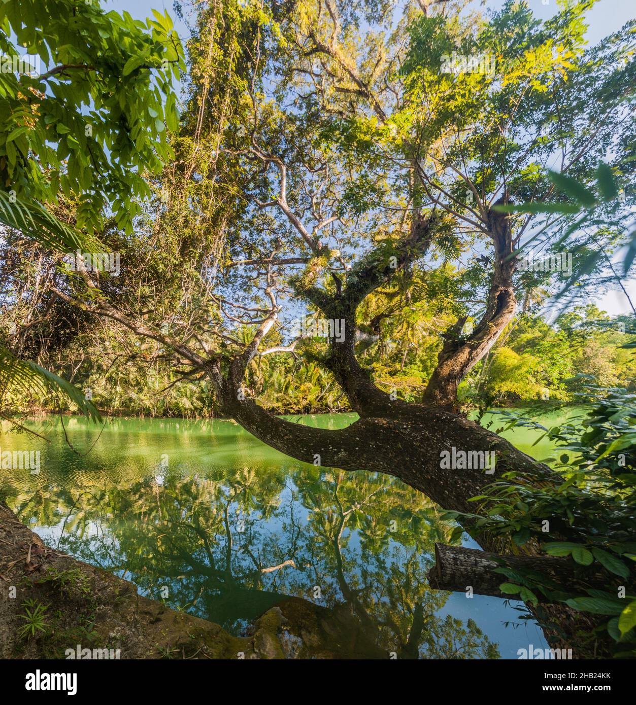 View of Loboc river on Bohol island, Philippines Stock Photo - Alamy