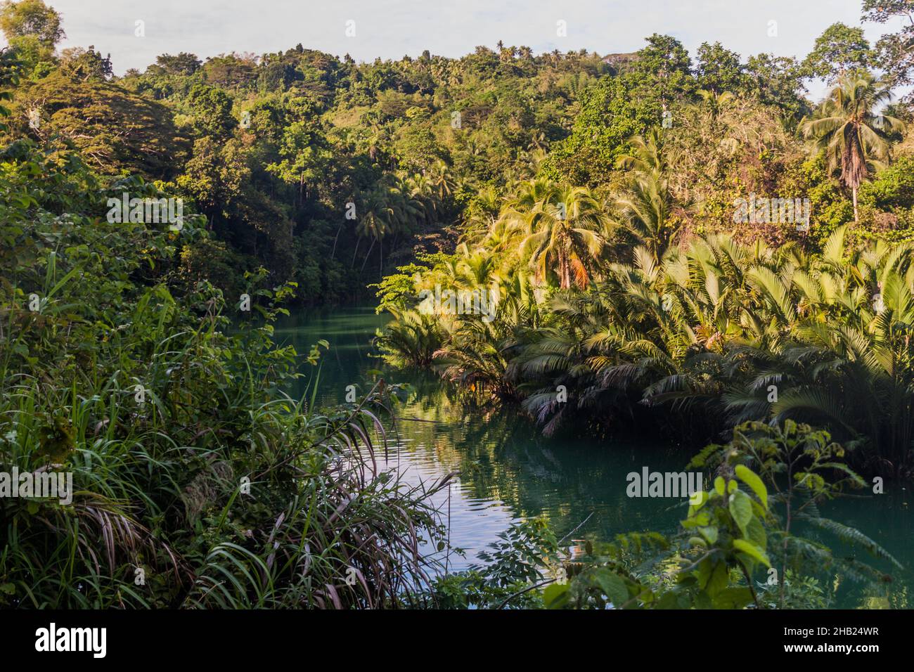 View of Loboc river on Bohol island, Philippines Stock Photo - Alamy