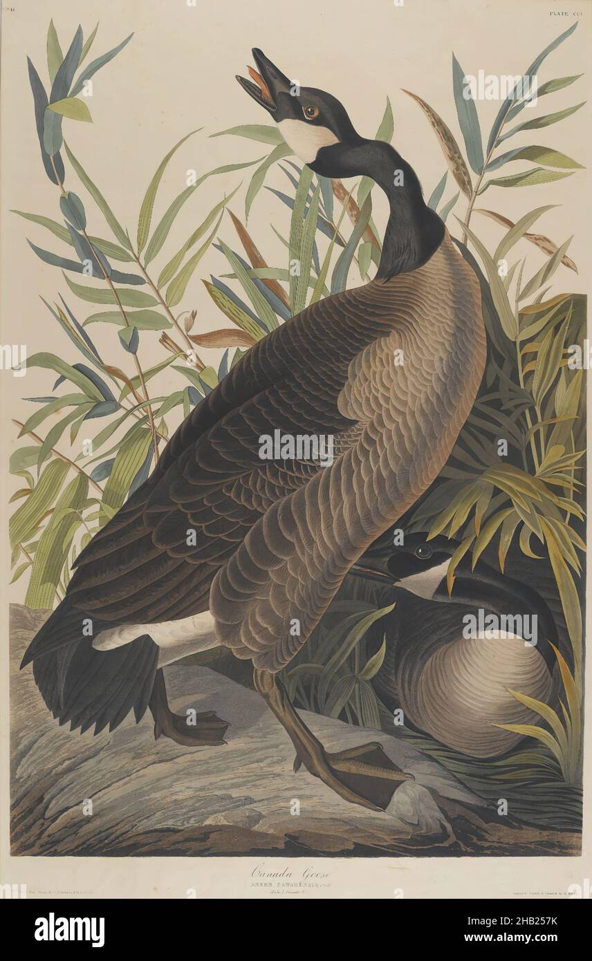 35 3 4 x 24 3 4 hi-res stock photography and images - Alamy