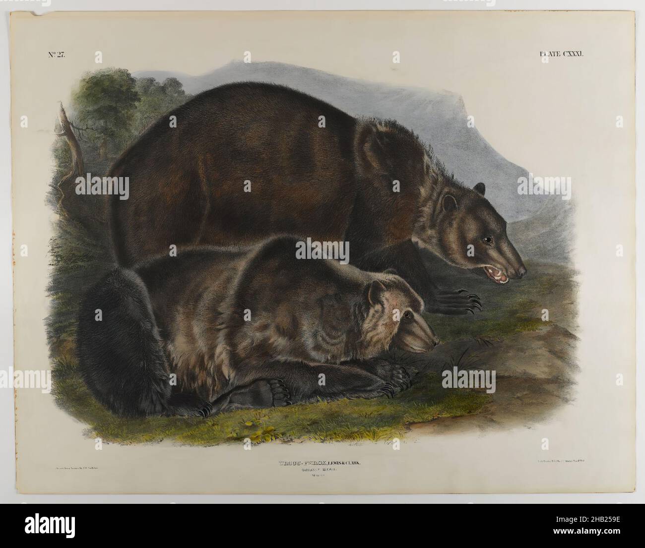 Grizzley Bear, John James Audubon, American, born Haiti, 1785-1851 ...