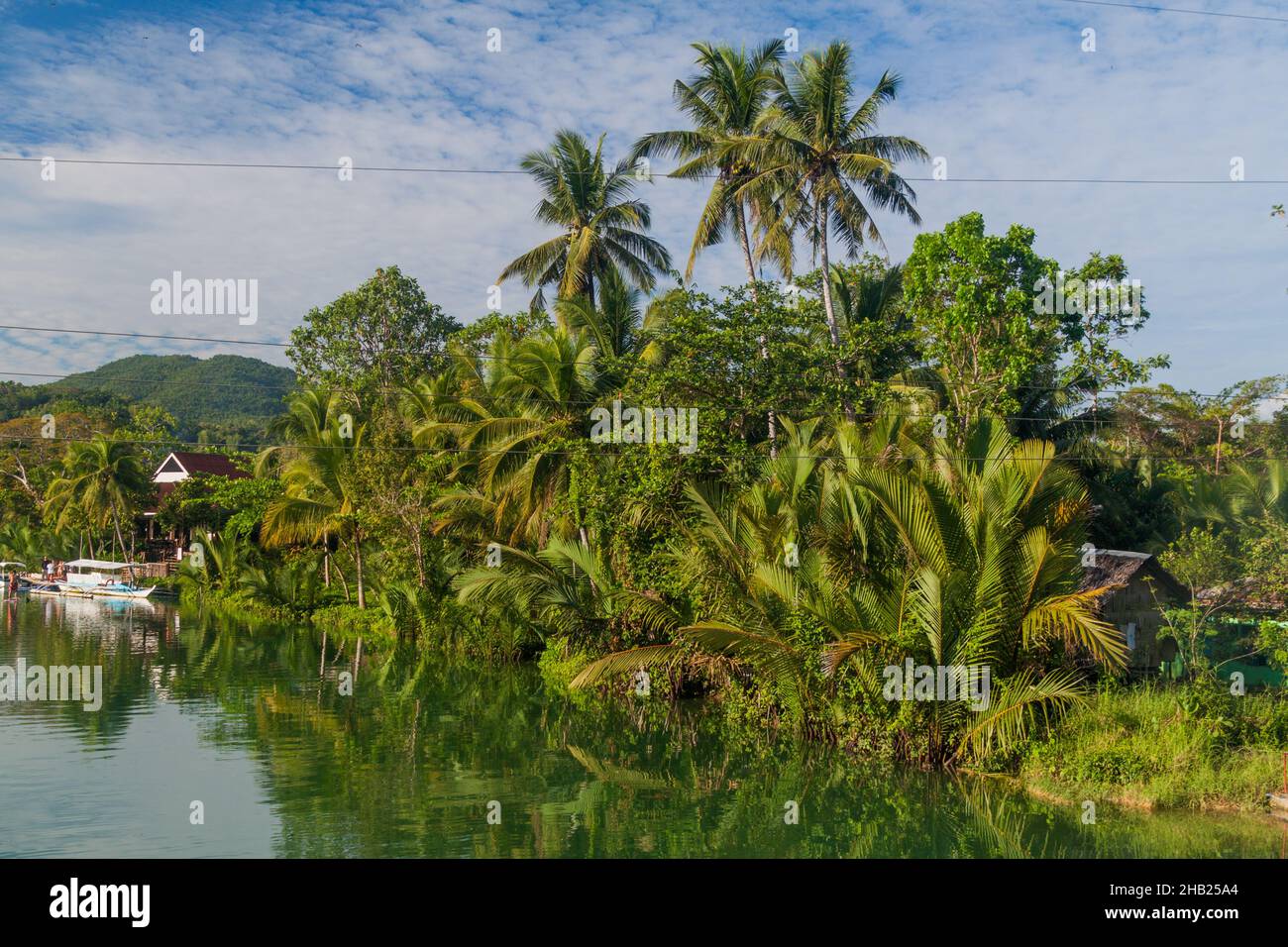 View of Loboc river on Bohol island, Philippines Stock Photo - Alamy