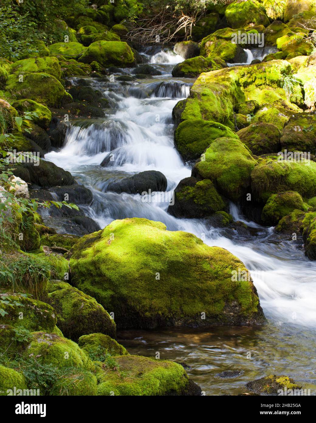 water, stream, stones, moss, green, blue, cold, flowing, river, Triglav ...