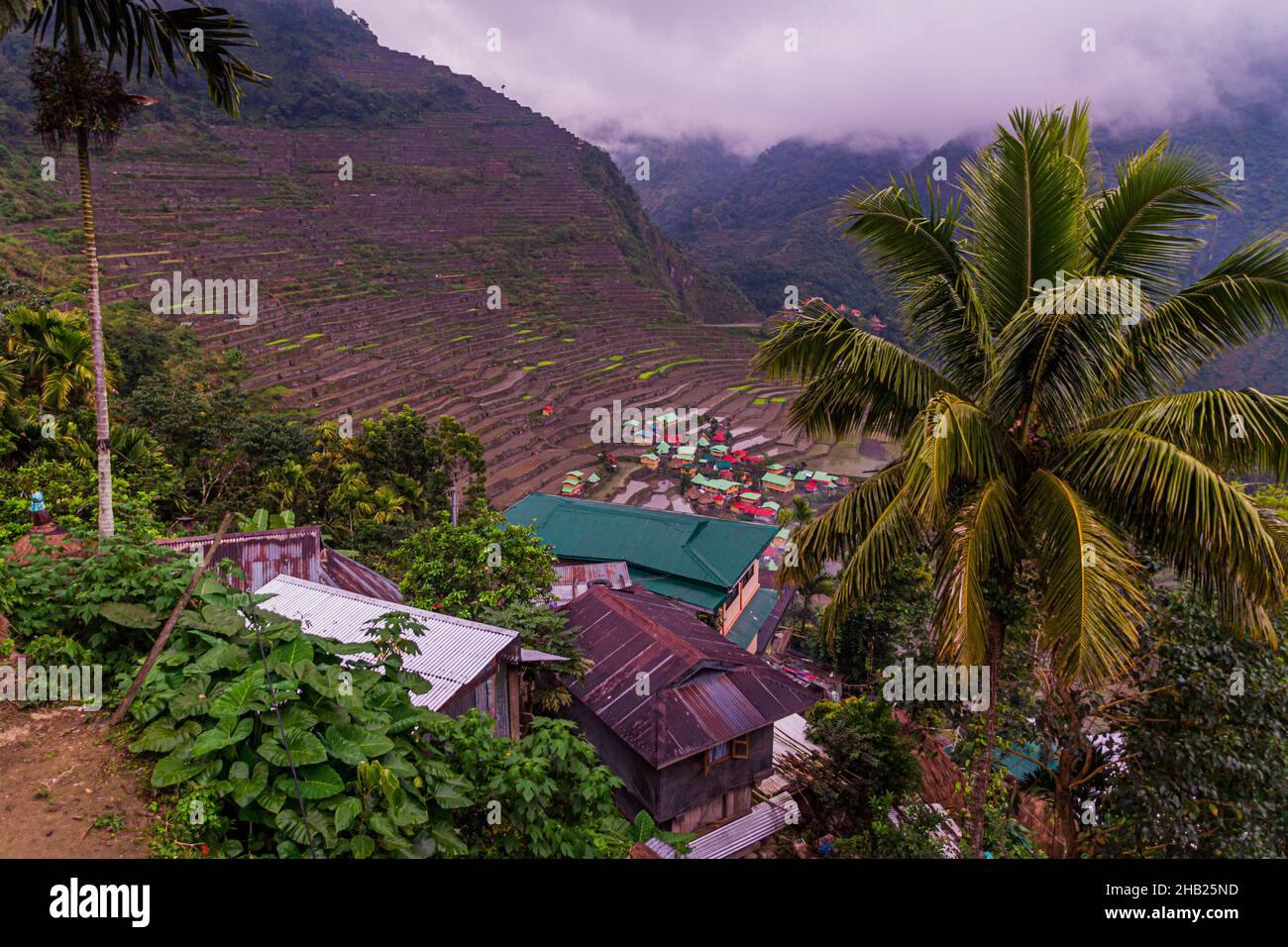 Evening view of Batad rice terraces, Luzon island, Philippines Stock ...
