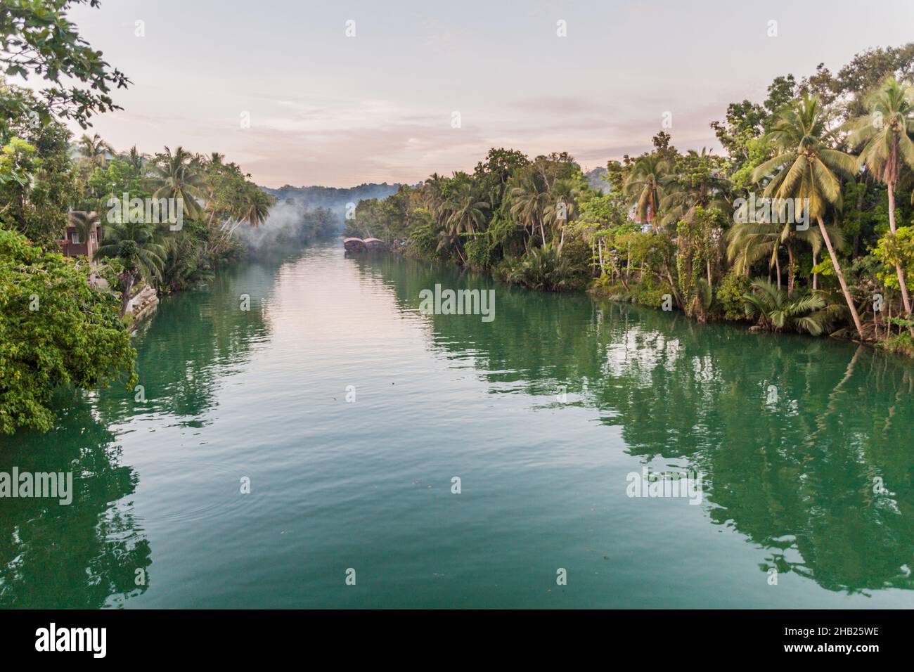 View of Loboc river on Bohol island, Philippines Stock Photo - Alamy