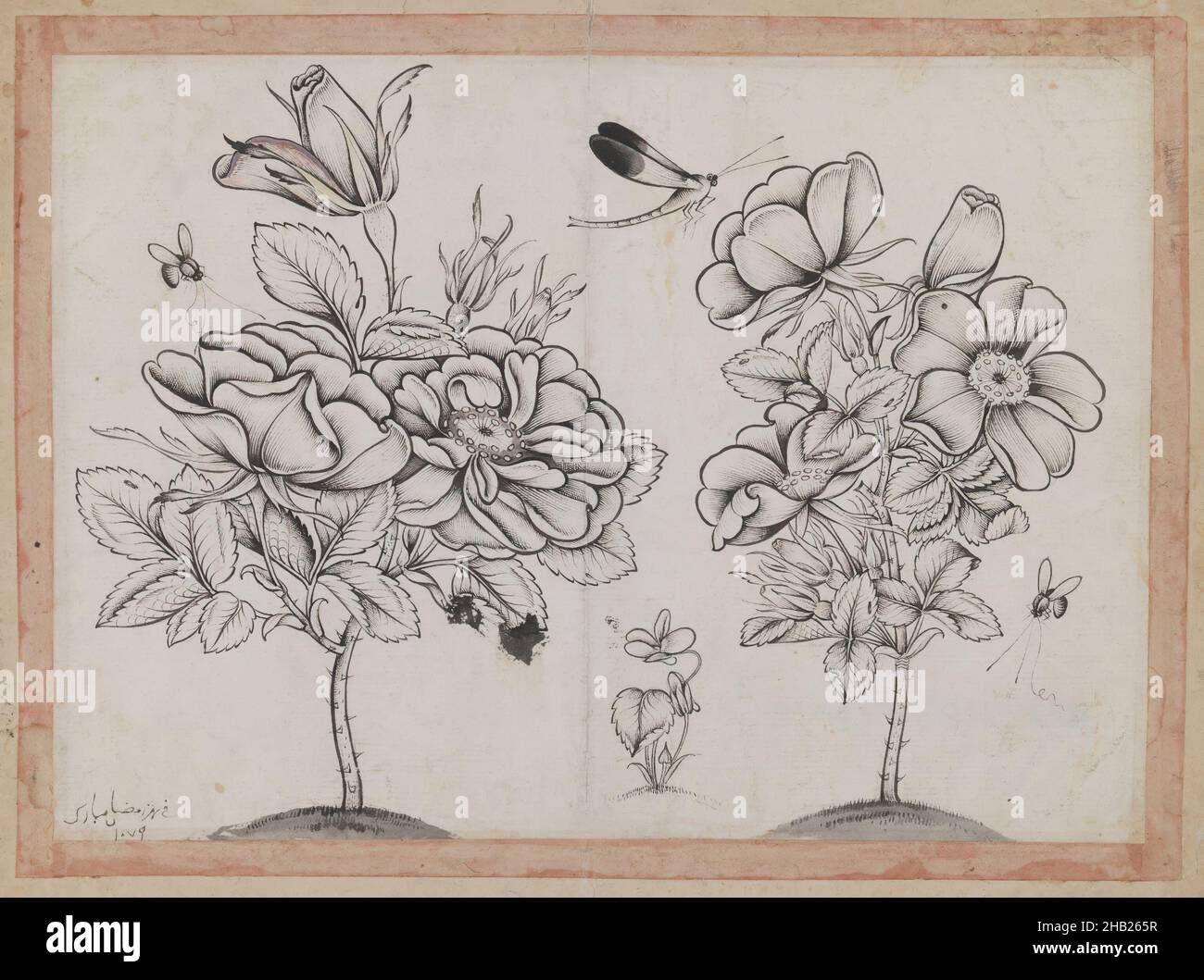 Iran flora fauna hi-res stock photography and images - Alamy