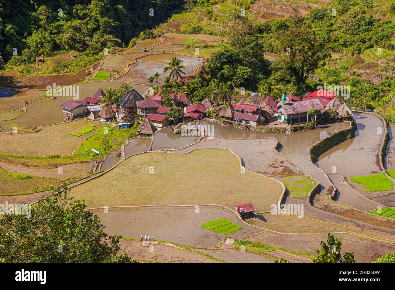 Kinakin rice farming village near Banaue, Luzon island, Philippines ...