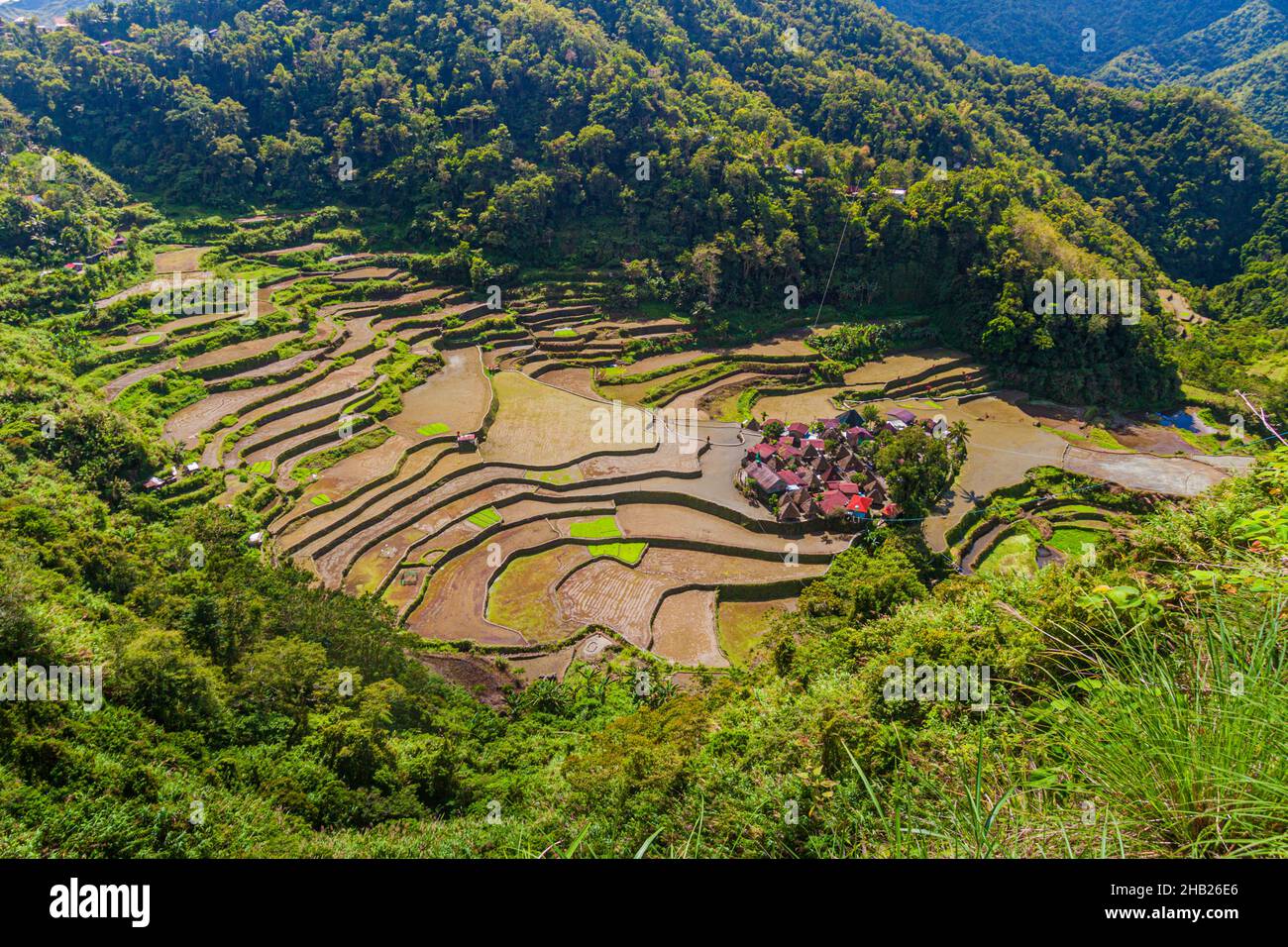 Kinakin rice farming village near Banaue, Luzon island, Philippines ...