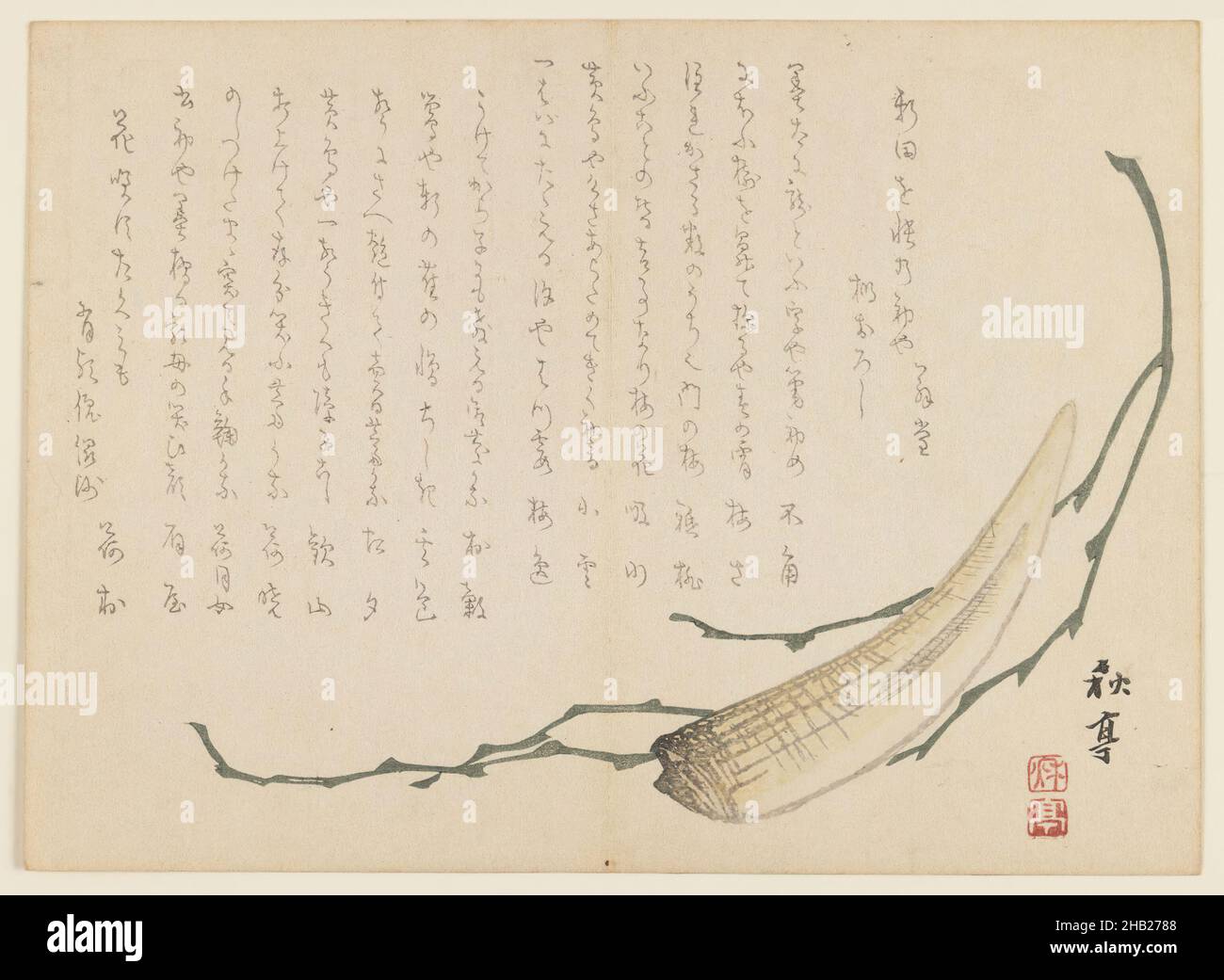 Seaweed and Daikon, Ryosai, Japanese, Color woodblock print on paper ...